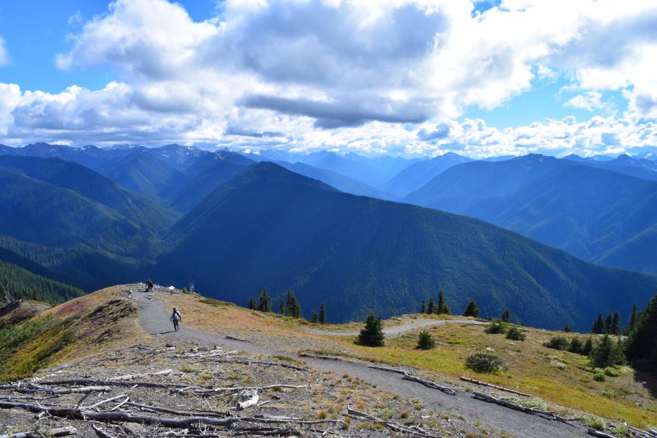 Olympic National Park: Sol Duc and Hurricane Ridge Tour - Whats Included and Whats Not