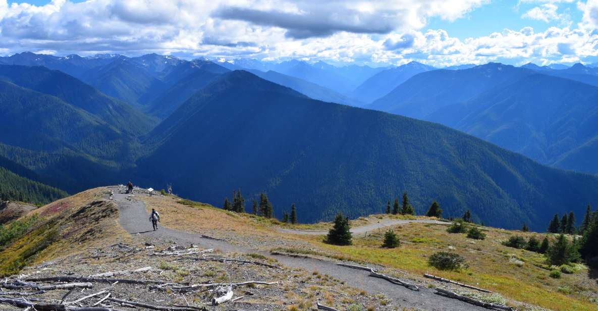 Olympic National Park: Sol Duc and Hurricane Ridge Tour - Price and Value