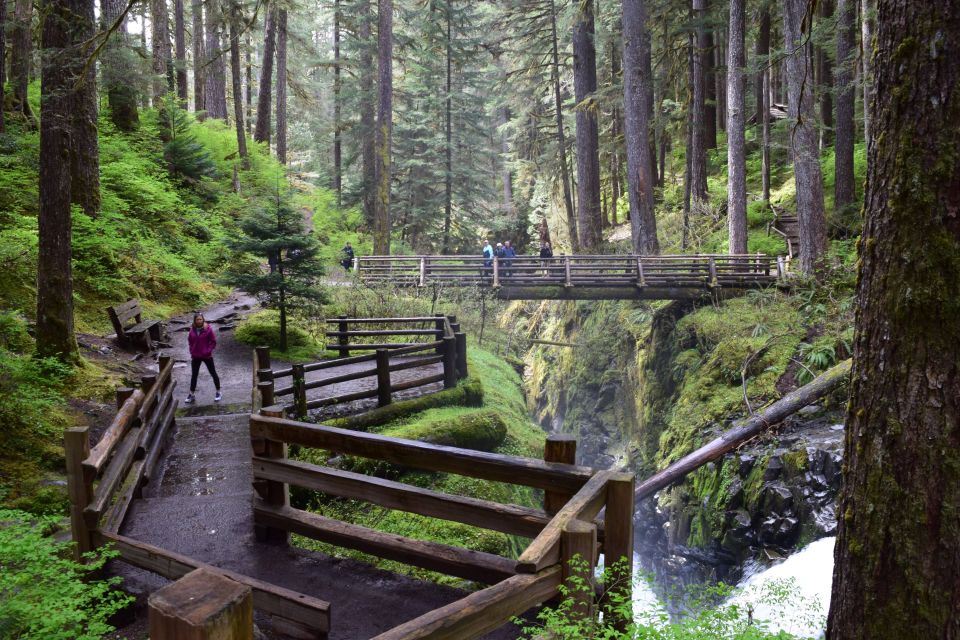 Olympic National Park: Sol Duc and Hurricane Ridge Tour - The Sum Up