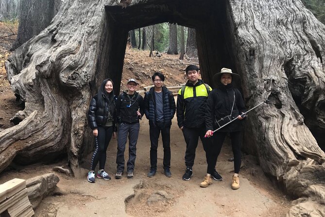 One Day In Yosemite Private Tour:Yosemite Valley, Glacier Point & Giant Sequoias - Waterfall Swim & Relaxation