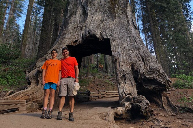One Day In Yosemite Private Tour:Yosemite Valley, Glacier Point & Giant Sequoias - Return and Drop-off