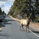 One-Day Private Grand Canyon National Park/Sedona tour from Phoenix-Scottsdale - Potential Drawbacks or Considerations