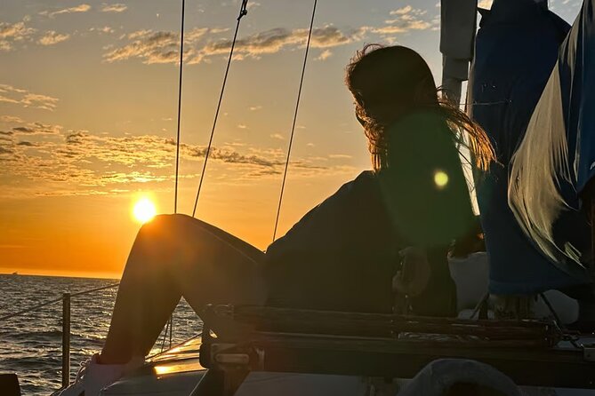 One Hour Cruise Around Marina del Rey - Discovering Marina del Rey: An Insider’s Perspective