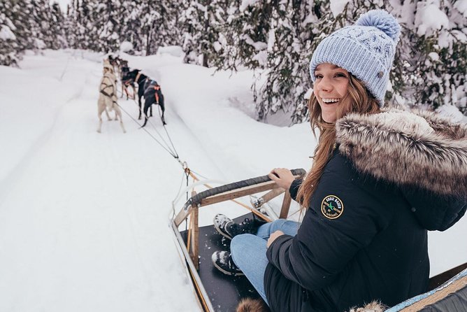 One Hour Experience Dog Sledding - Key Points