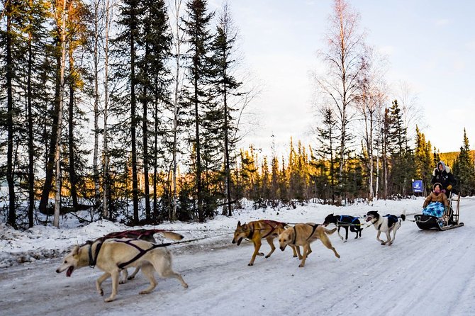 One Hour Experience Dog Sledding - FAQ