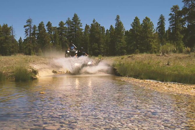 One Hour Guided ATV Ride in Utah - Exploring the Details of the Bryce Canyon ATV Tour