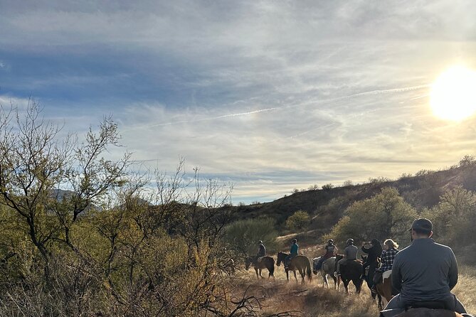 One Hour Guided Horseback Ride - The Itinerary and Highlights