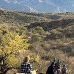 One Hour Guided Horseback Ride - Practical Details and What to Expect