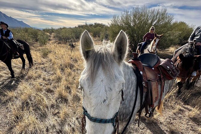 One Hour Guided Horseback Ride - The Sum Up