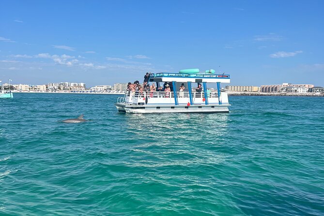 One Hour Harbor Shared Tour with Dolphin Watching - The Experience in Detail