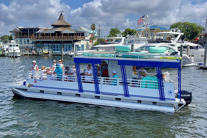 One Hour Harbor Shared Tour with Dolphin Watching - FAQ