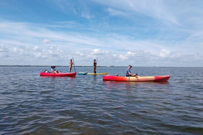 One Tandem Kayak Rental for 2 hours with Manatee & Dolphin sightings! - FAQ