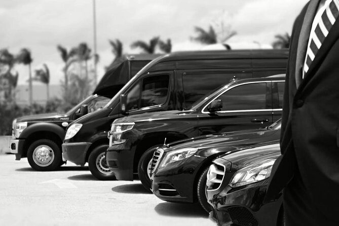 One-Way Transfer from the Airport to the Cruise Port - Key Points