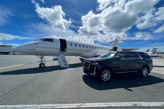 One-Way VIP Transfer: Honolulu Airport, Ko Olina, Cruise Port - Additional Offerings & Customization