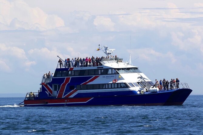Only Wildlife and Whale Watching Tour Leaving from Seattle - Frequently Asked Questions