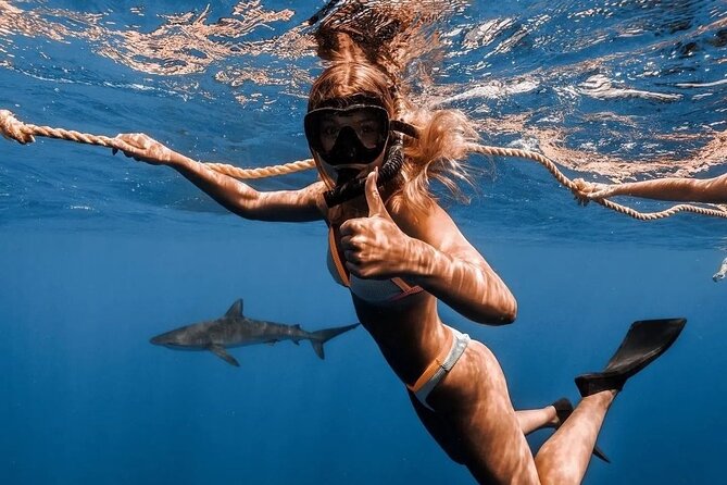Open Water Shark Dive - FAQ