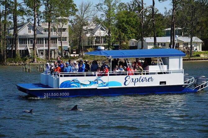 Orange Beach Dolphin Eco Boat Tour - Final Thoughts: Is It Worth It?