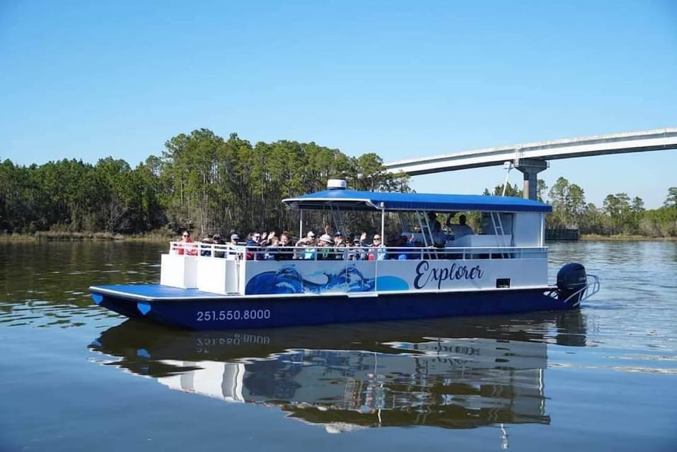 Orange Beach: Dolphin Eco Sunset Cruise aboard The Explorer - Detailed Breakdown of the Tour