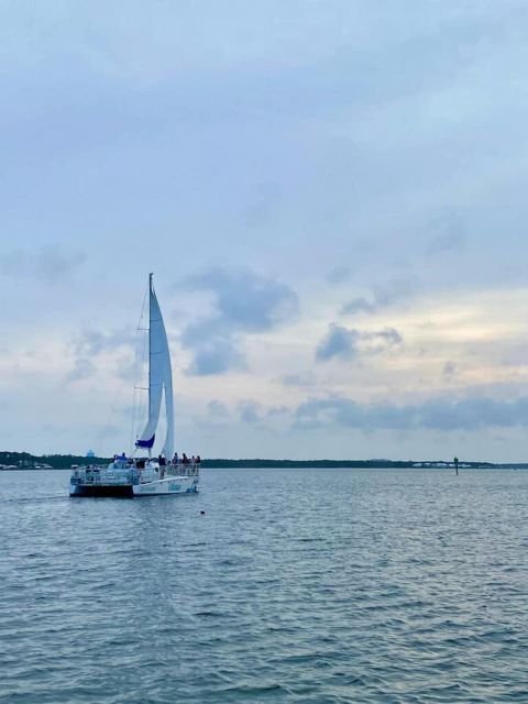 Orange Beach: Dolphin & Sailing Cruise Aboard 52' Catamaran - Key Points