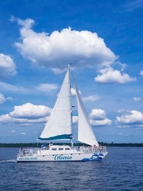Orange Beach: Dolphin & Sailing Cruise Aboard 52' Catamaran - What Travelers Say: Authentic Feedback