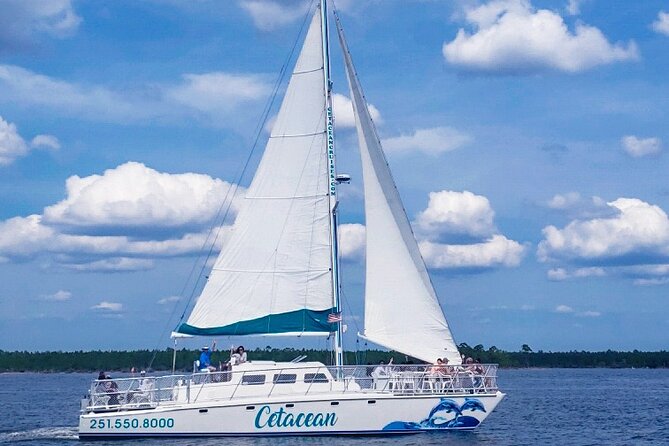 Orange Beach Dolphin Sailing Cruise aboard Catamaran - The Sum Up