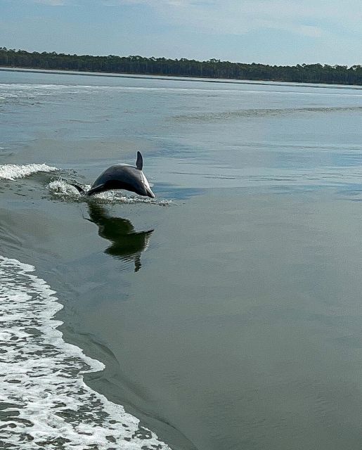 Orange Beach: Dolphin-Watching Eco-Boat Tour - Why This Tour Offers Great Value
