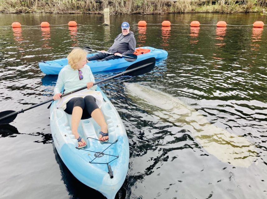 Orange City: Blue Spring State Park SUP & Kayaking Tour - What to Expect on the Tour