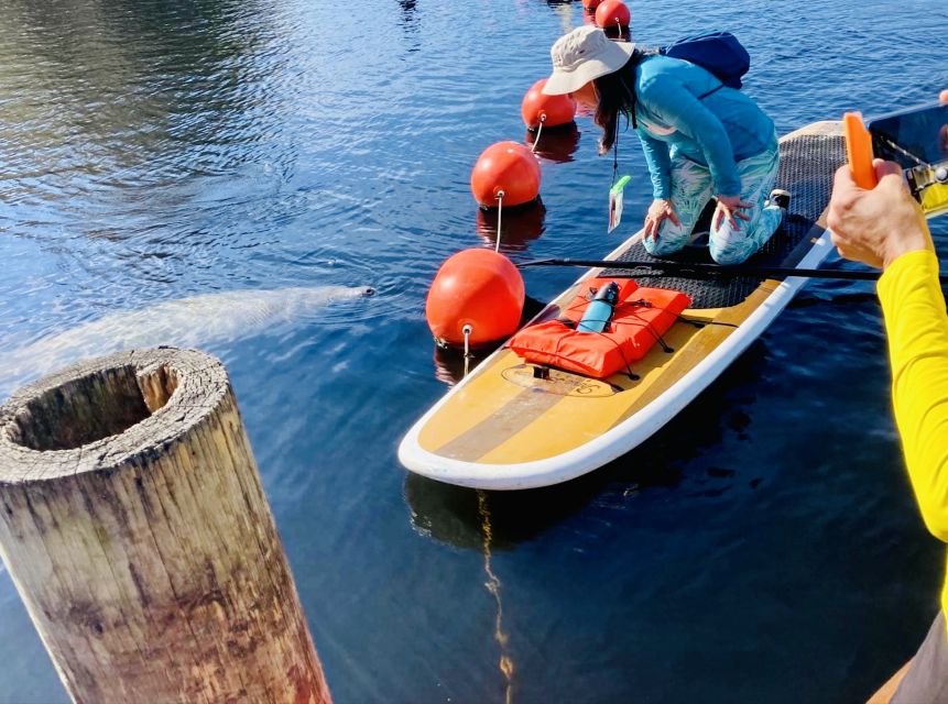 Orange City: Blue Spring State Park SUP & Kayaking Tour - Authentic Experiences and Recent Challenges