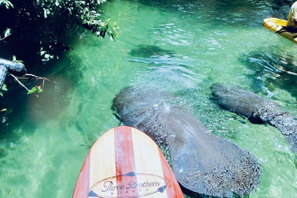 Orange City: Blue Spring State Park SUP & Kayaking Tour - Who Should Consider This Tour?