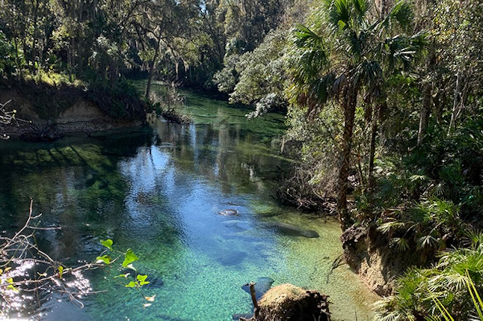 Orange City: Blue Spring State Park SUP & Kayaking Tour - FAQs
