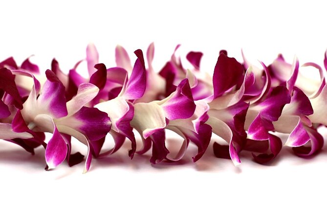 Orchid Airport Lei Greeting (Maui, Kahului Airport, OGG) - Key Points