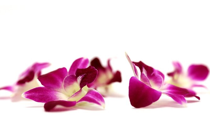 Orchid Airport Lei Greeting (Maui, Kahului Airport, OGG) - The Experience in Detail