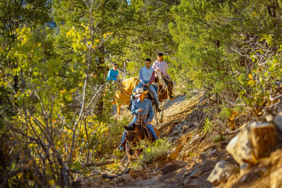 Orderville: Checkerboard Evening Shadow Horseback Ride - Who Will Love This Experience?