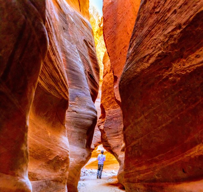 Orderville: East Zion Park White Mountain Horseback Tour - The Value of This Experience