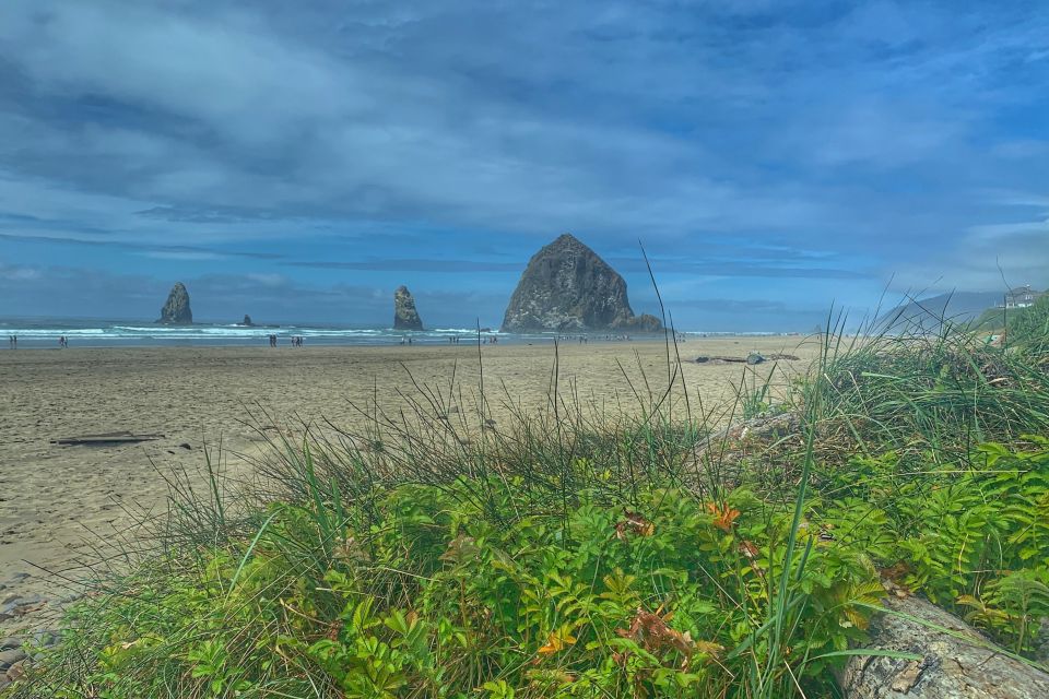 Oregon Coast Day Tour: Cannon Beach and Haystack Rock - What Makes the Experience Special?