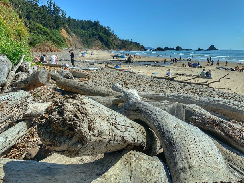 Oregon Coast Day Tour: Cannon Beach and Haystack Rock - Who Will Love This Tour?