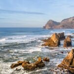 Oregon Coast Sightseeing Tour - In The Sum Up