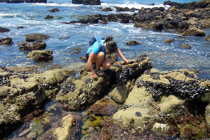 Oregon Coast Tour from Portland - Who Will Love This Tour?