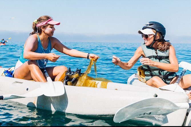 Original La Jolla Sea Cave Kayak Tour for Two - An In-Depth Look at the La Jolla Sea Cave Kayak Tour