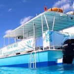 Original Snorkel and Sandbar Combo in Islamorada - Why This Tour Offers Good Value