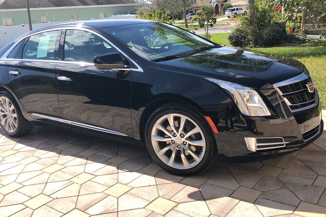 Orlando Airport MCO to Port Canaveral Luxury Sedan - Final thoughts: Who is this transfer best suited for?