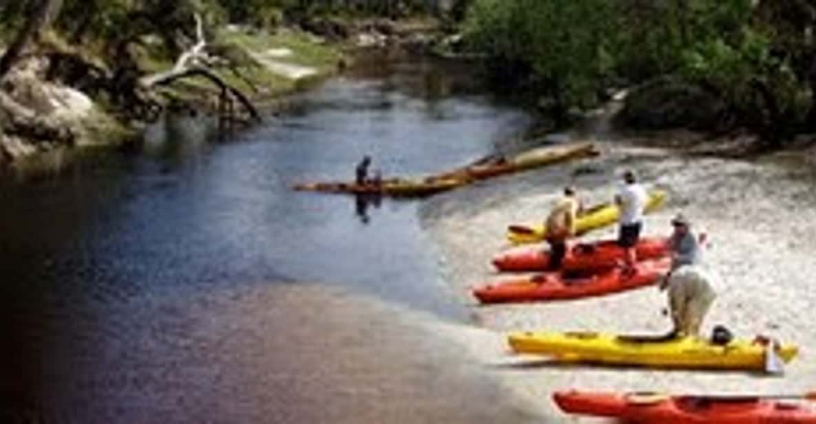 Orlando Alligator Experience: Day-Trip From Orlando - Key Points