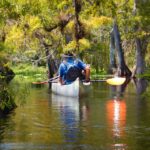 Orlando Alligator Experience: Day-Trip From Orlando - The Itinerary in Detail