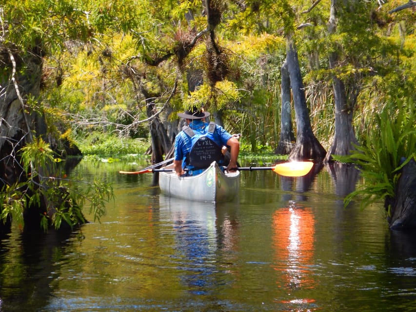 Orlando Alligator Experience: Day-Trip From Orlando - The Itinerary in Detail
