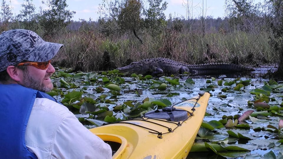 Orlando Alligator Experience: Day-Trip From Orlando - Seeing and Learning from the Guides