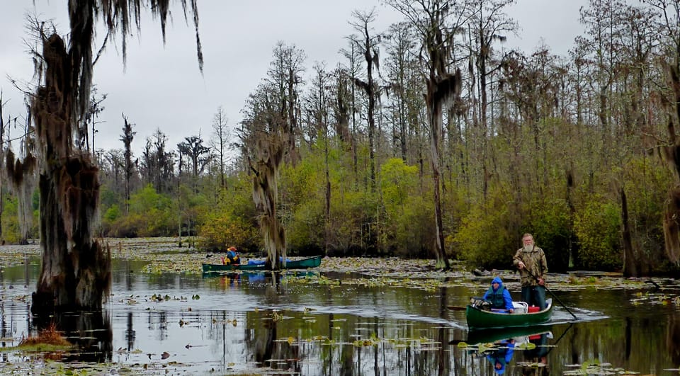 Orlando Alligator Experience: Day-Trip From Orlando - FAQ