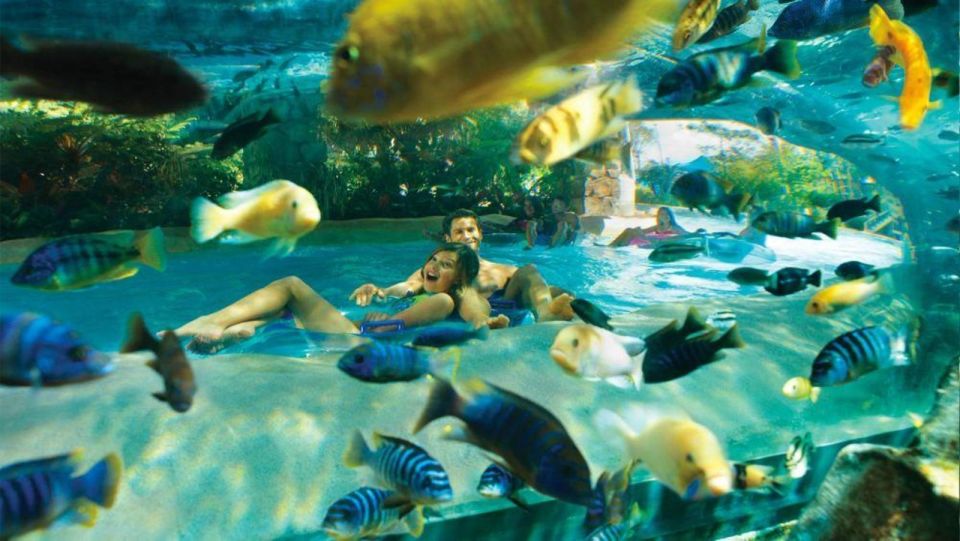 Orlando: Aquatica Water Park Admission Ticket - Exploring Aquatica Orlando in Detail