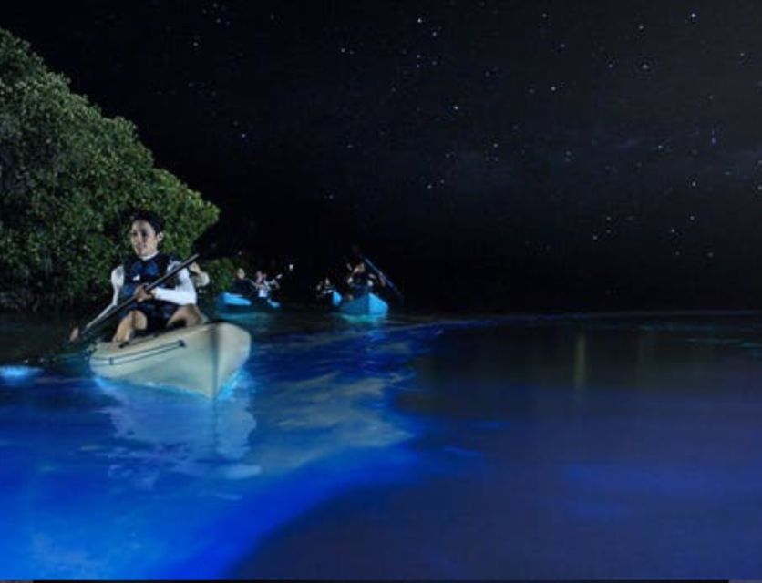 Orlando: Bioluminescence Clear Kayaking or Paddleboarding - An In-Depth Look at the Tour Experience