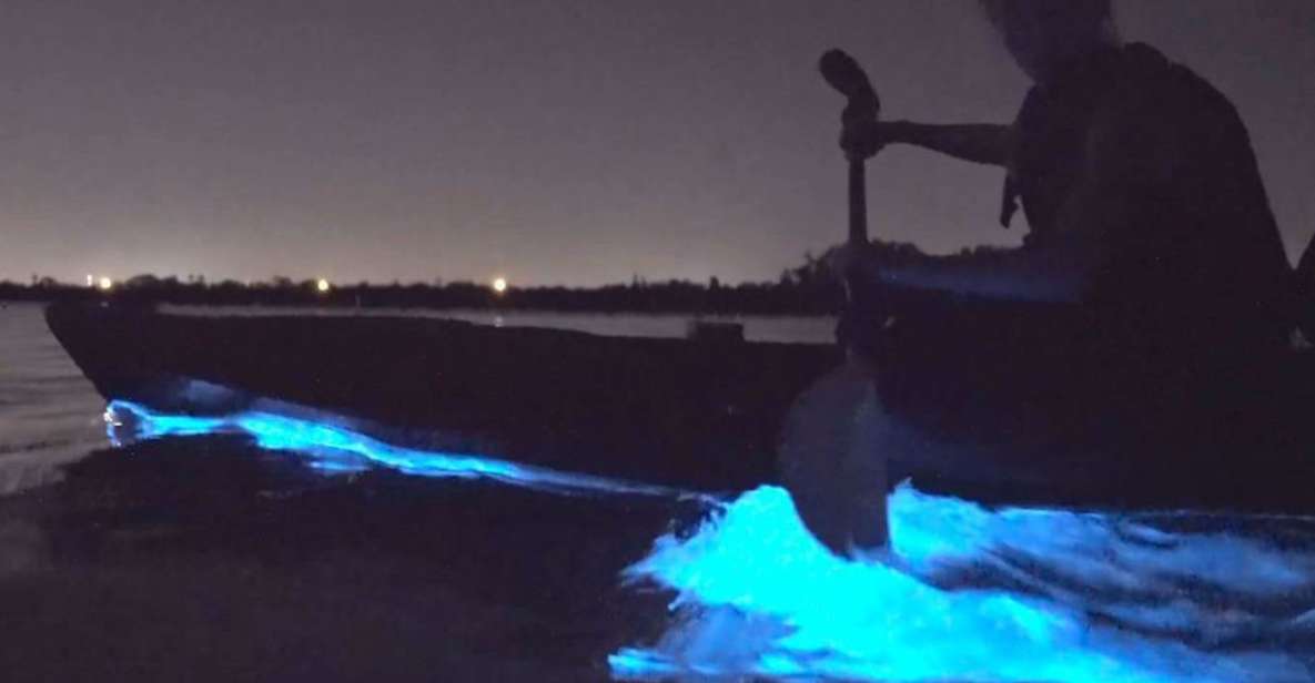 Orlando: Bioluminescence Clear Kayaking or Paddleboarding - FAQs