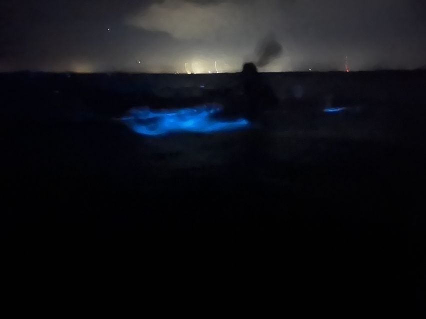 Orlando: Bioluminescence Kayak Adventure - What’s Included and Practicalities